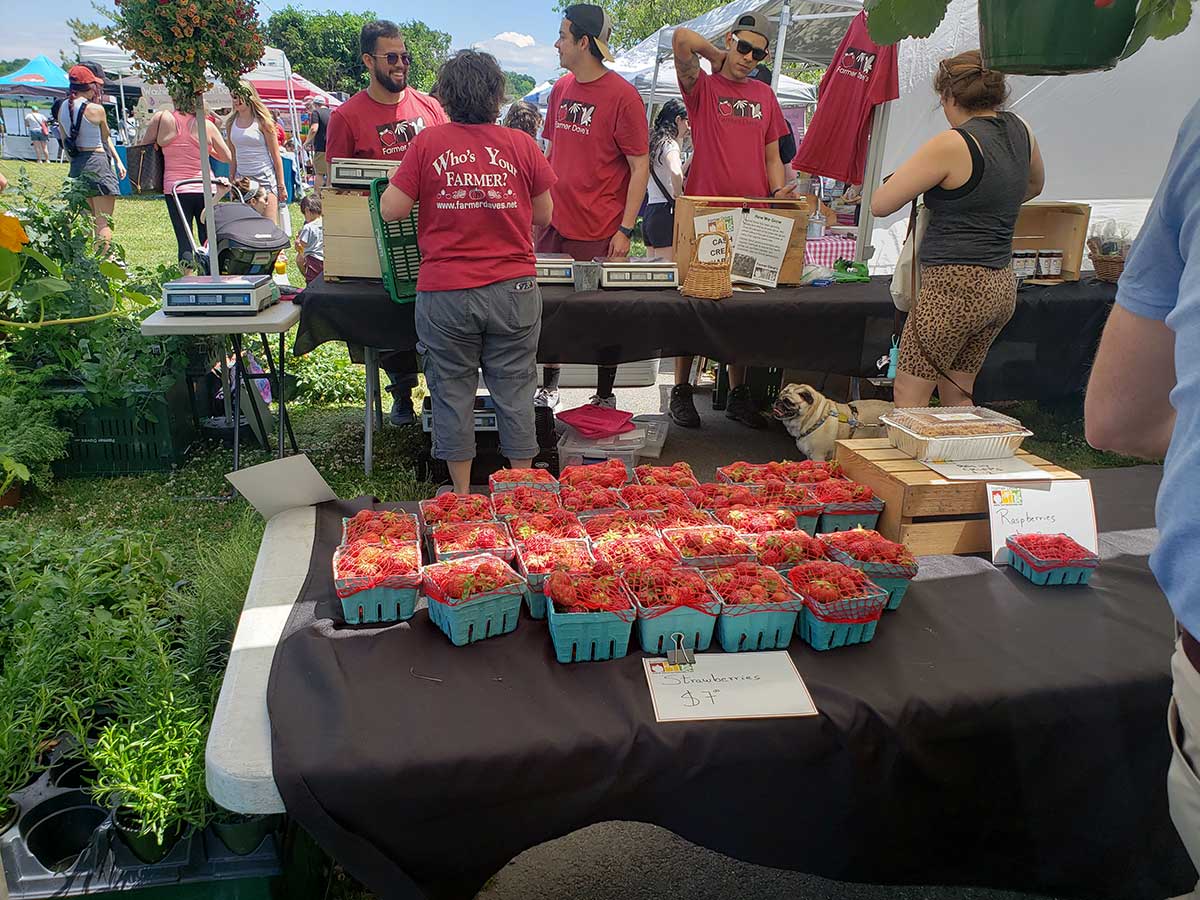 Food Pantry lauded for donation to Farmers Market - Local Headline News